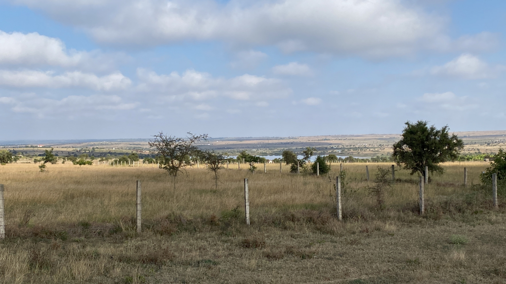 Ranches For Sale in Kenya - Realtors